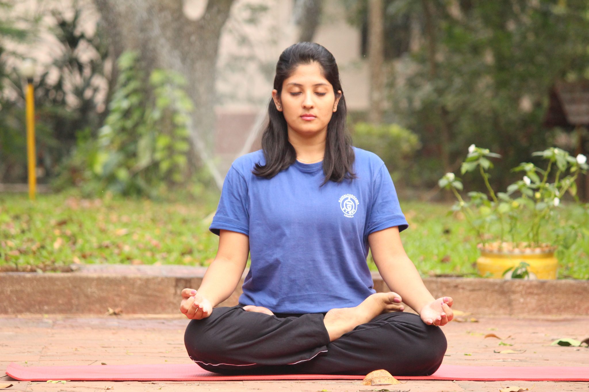 Best Online Courses on Yoga, Ayurveda & Samkhya in India | Kaivalyadhama